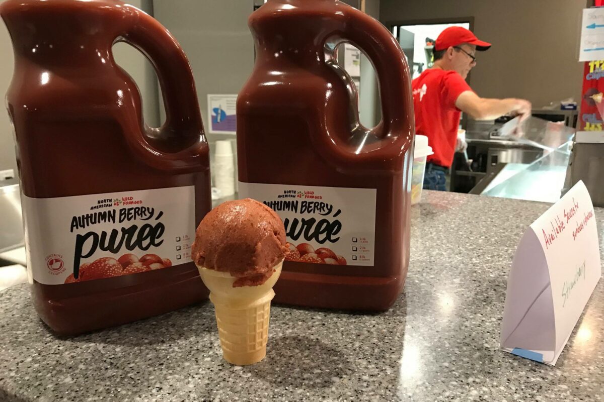 Home - Autumn Berry Inspired